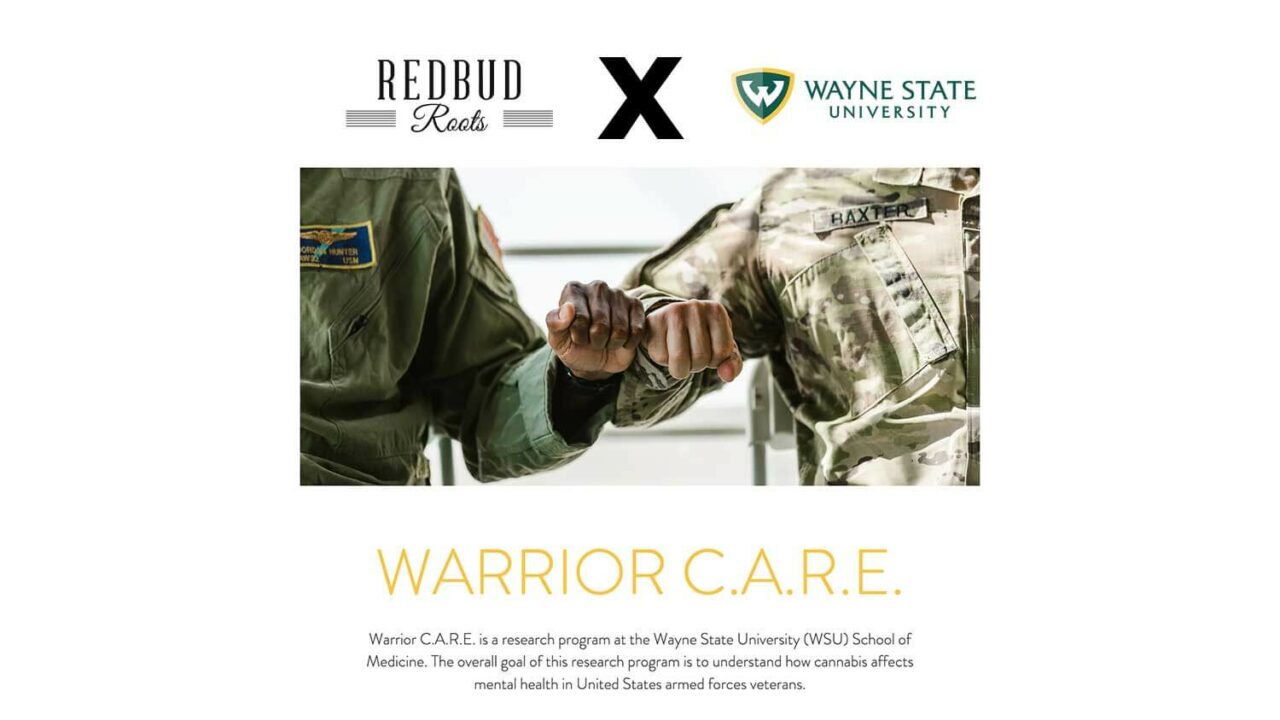 Wayne State Cannabis Study For PTSD in Veteran's | Redbud Roots